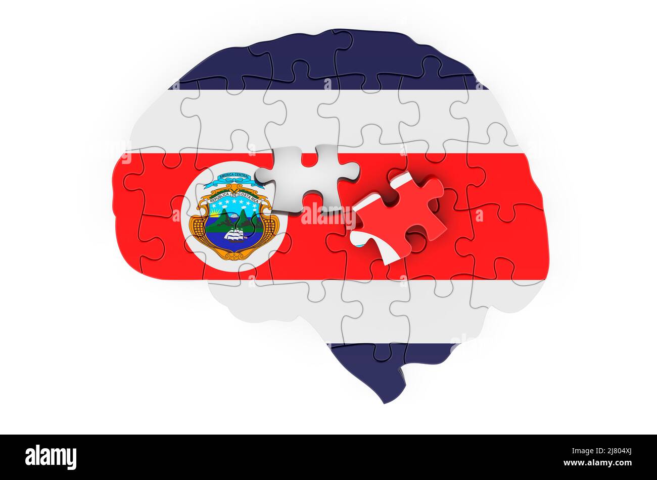 Costa Rican flag painted on the brain from puzzles. Scientific research ...