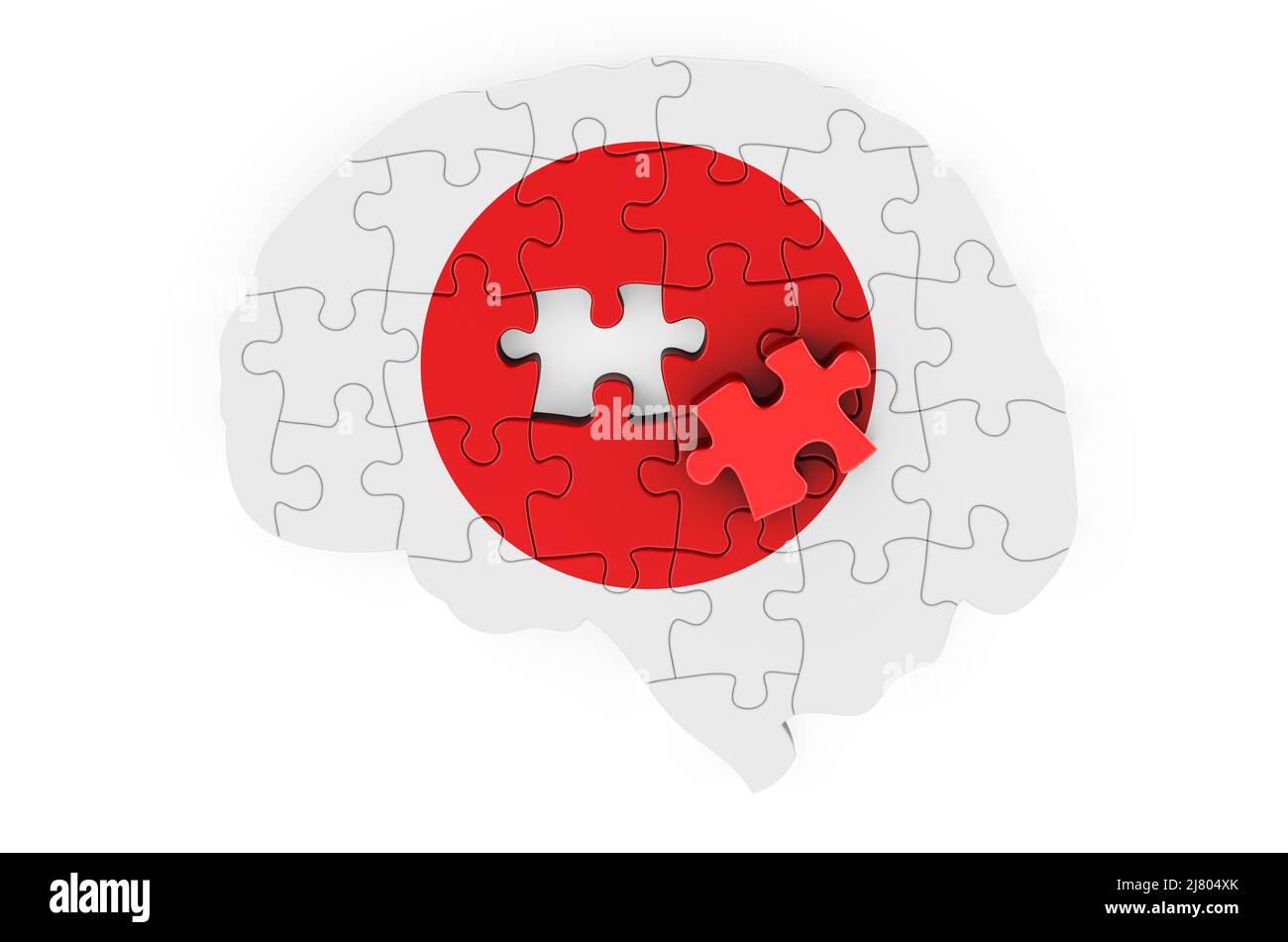 Japanese flag painted on the brain from puzzles. Scientific research ...