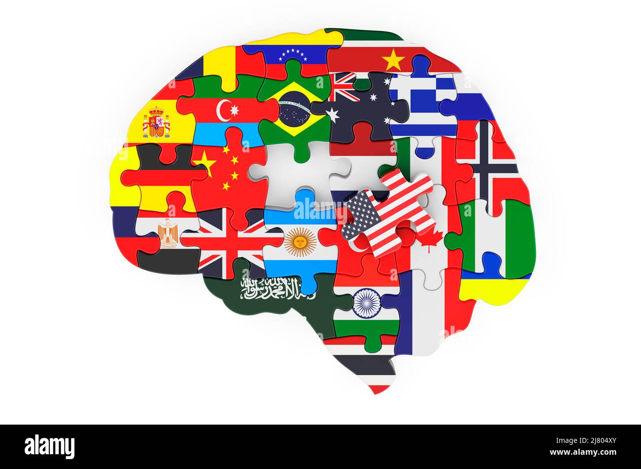 Flags of different countries painted on the brain from puzzles. 3D ...