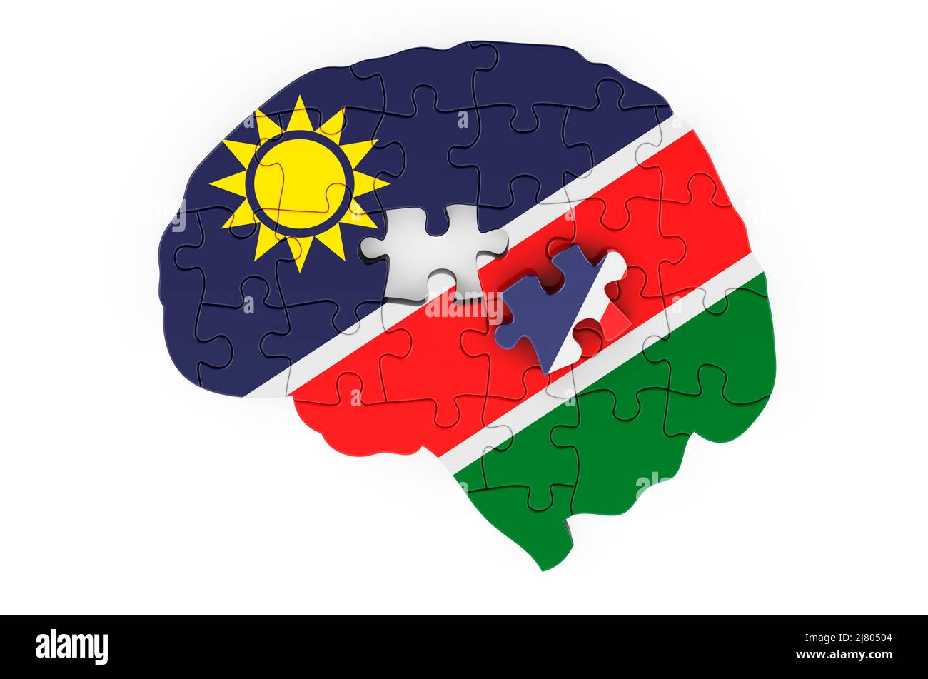 Namibian flag painted on the brain from puzzles. Scientific research ...