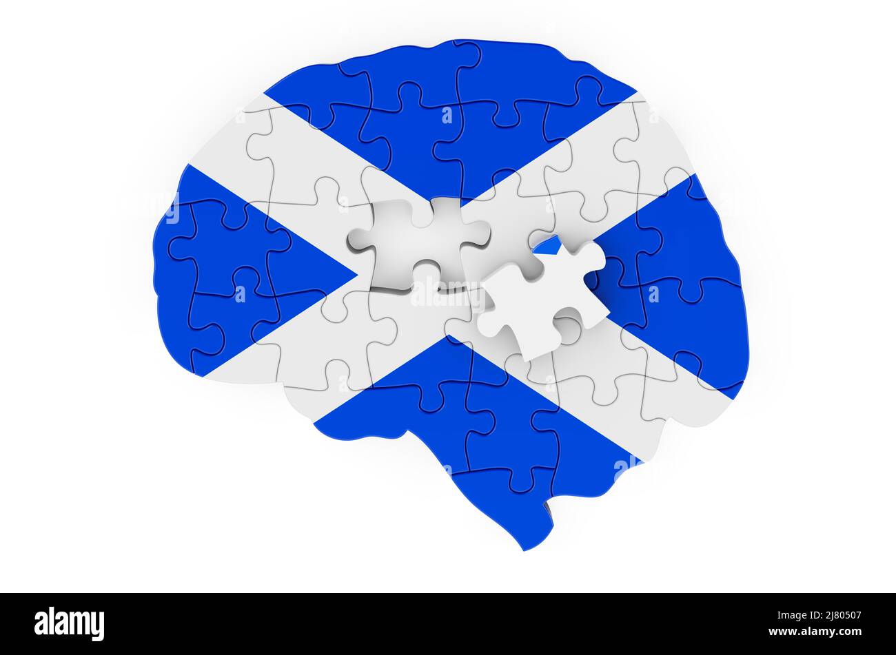 Scottish flag painted on the brain from puzzles. Scientific research ...
