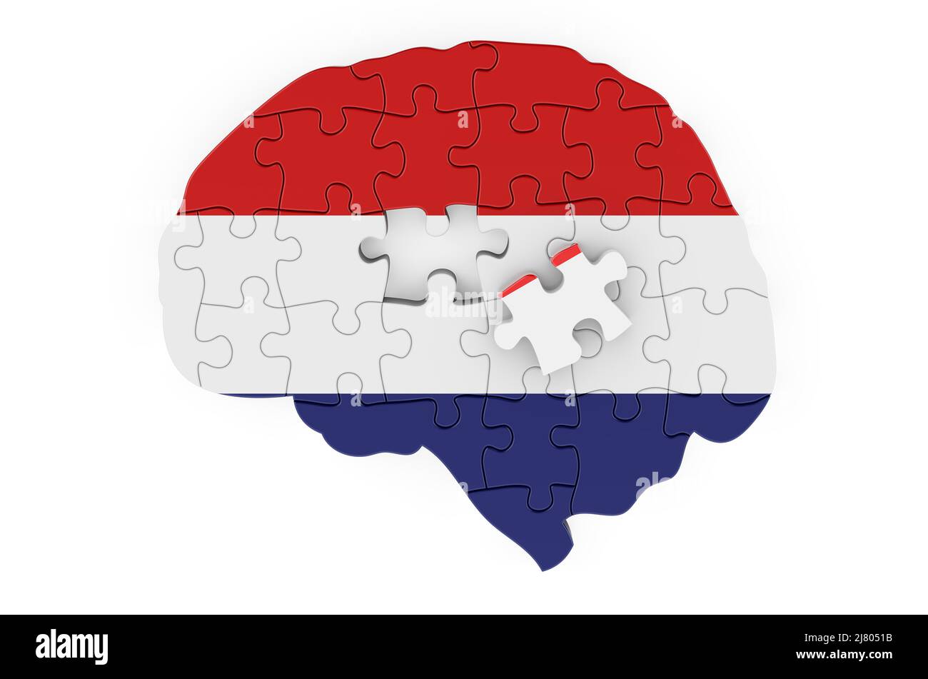 The Netherlands flag painted on the brain from puzzles. Scientific ...