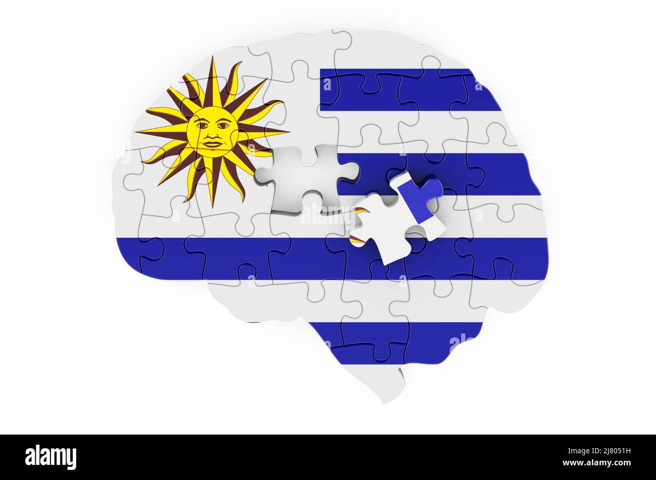 Uruguayan flag painted on the brain from puzzles. Scientific research ...