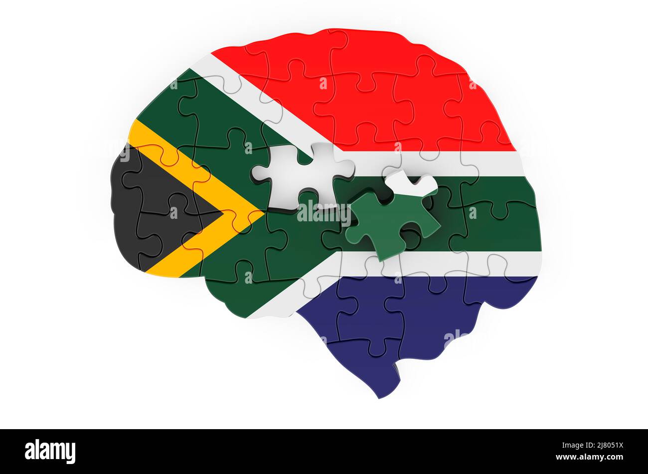 South African flag painted on the brain from puzzles. Scientific ...