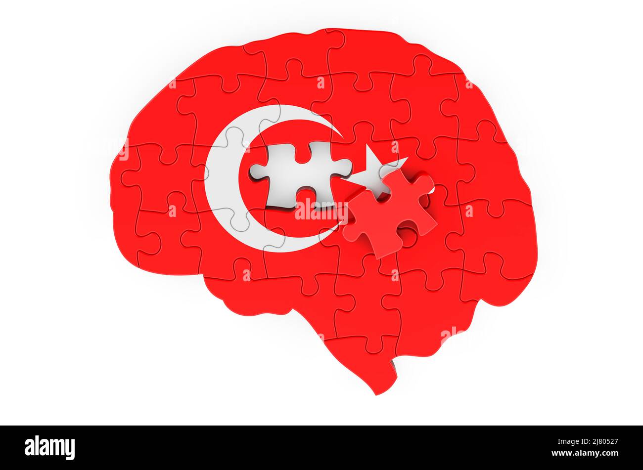 Turkish flag painted on the brain from puzzles. Scientific research and ...