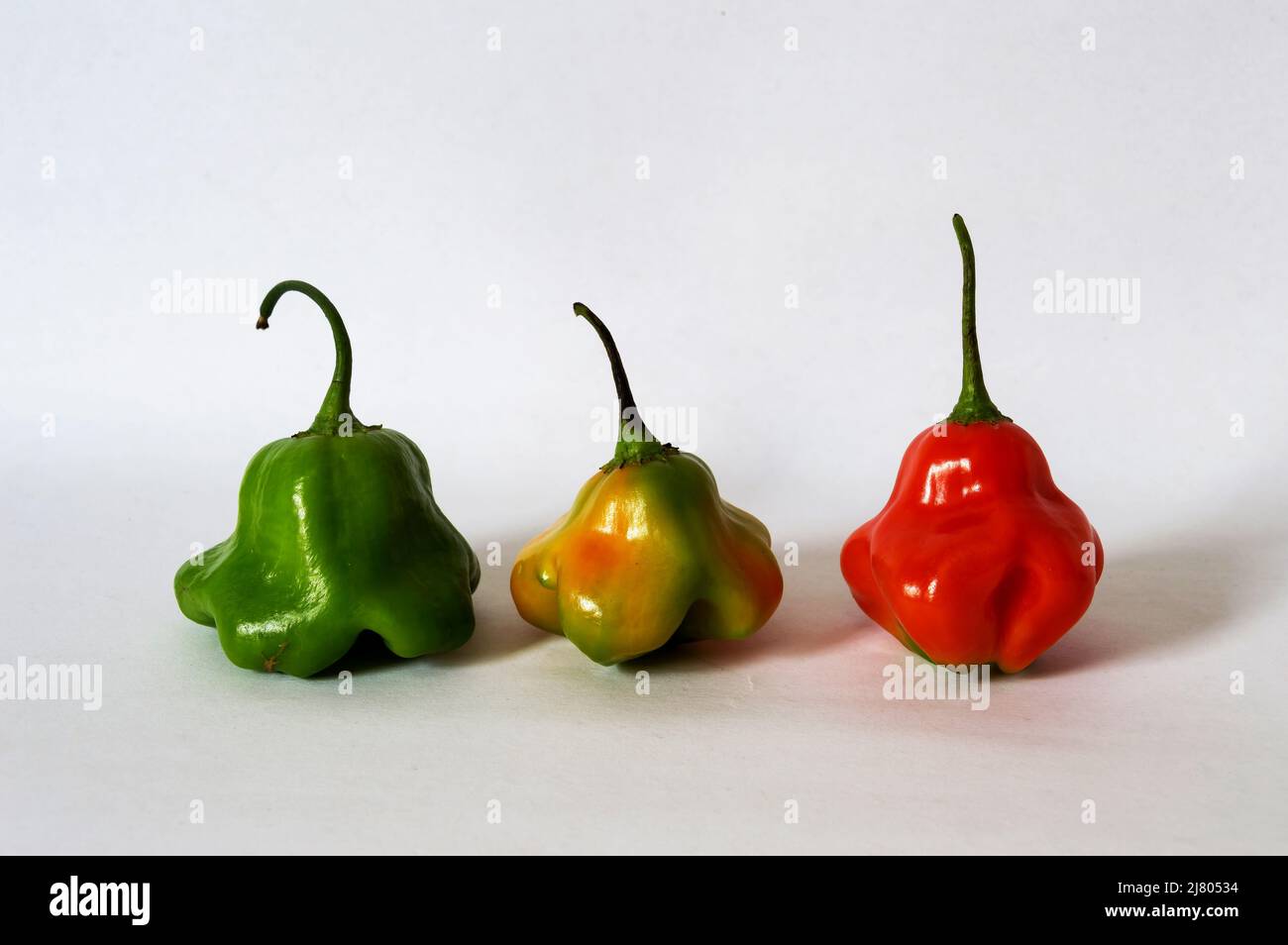 Three whole peppers of different colors one green, one mixed and one ...