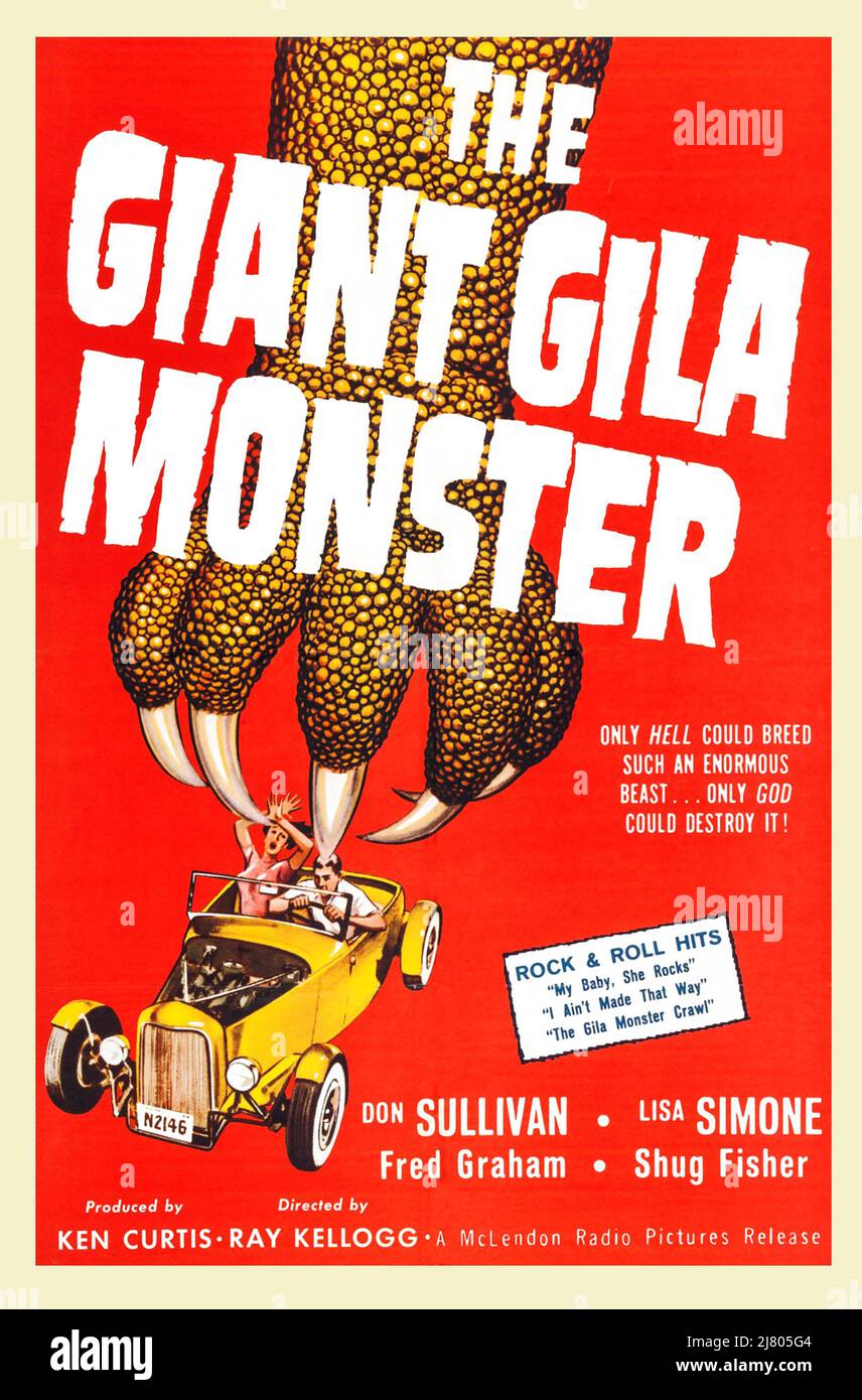 Gila monster attack hi-res stock photography and images - Alamy