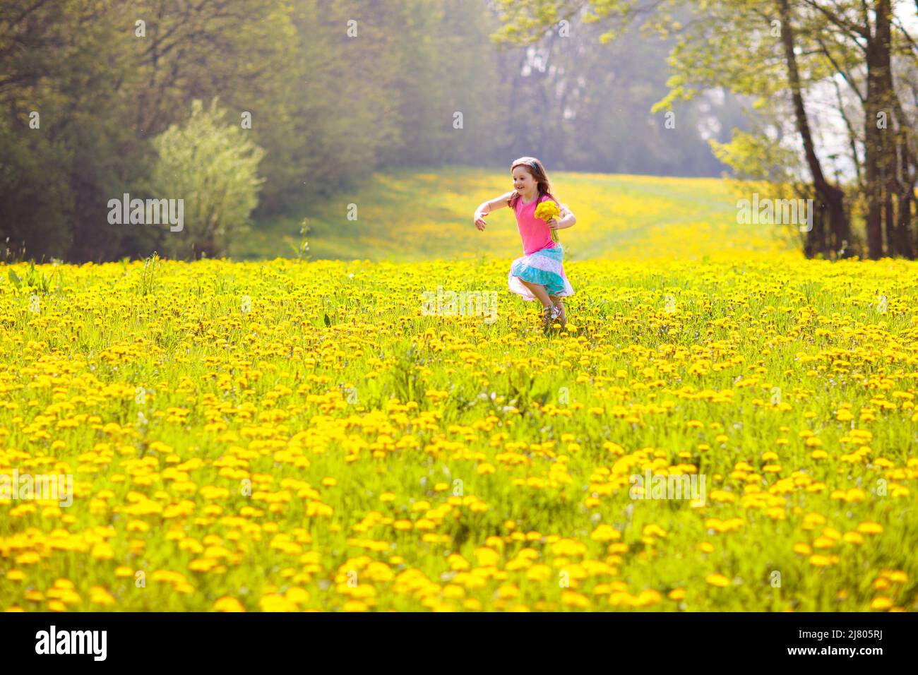 Kids play in yellow dandelion field. Child picking summer flowers ...
