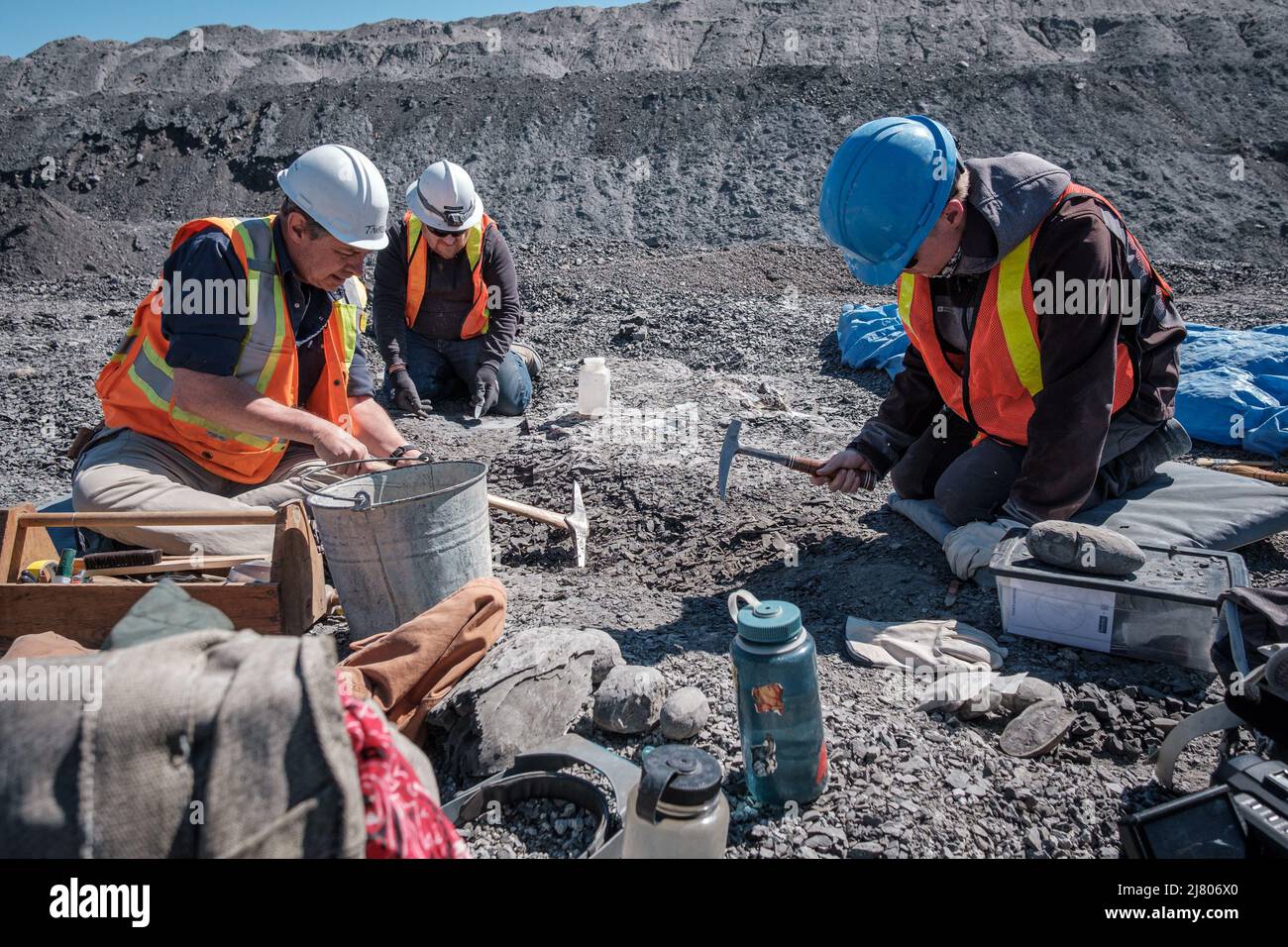 Technicians from the Royal Tyrell Museum of Palaeontology, Darren Tanke ...