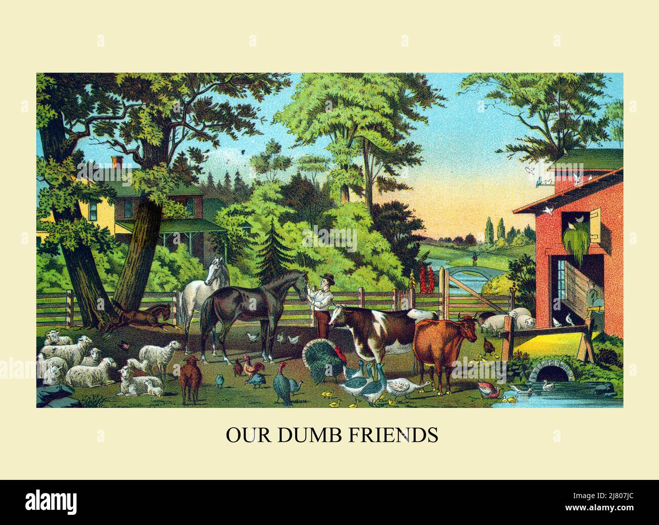 Our Dumb Friends Stock Photo - Alamy