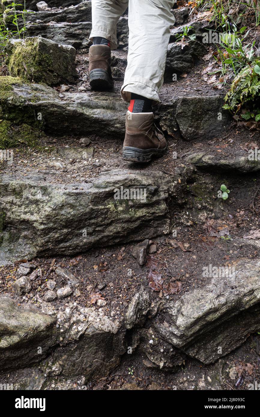 The varied route over the Vogelbergsteig to the historic Dürnstein ...
