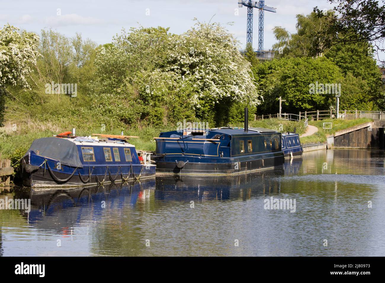 Narrowboats River Stort Harlow Essex Stock Photo - Alamy