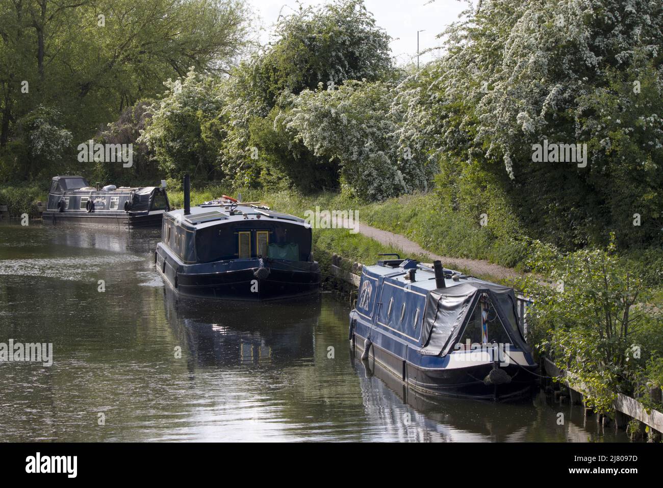Narrowboats River Stort Harlow Essex Stock Photo - Alamy