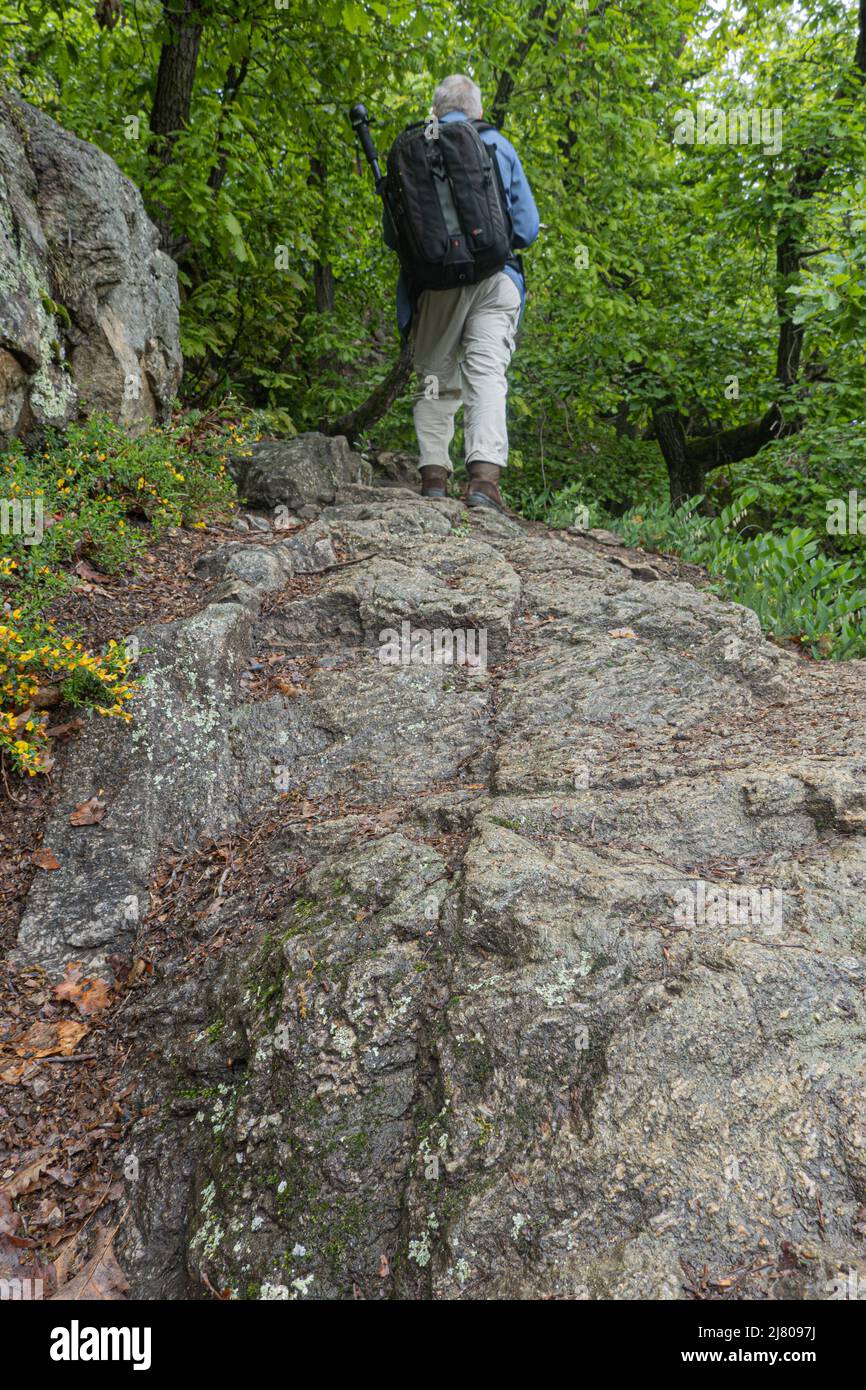 The varied route over the Vogelbergsteig to the historic Dürnstein ...