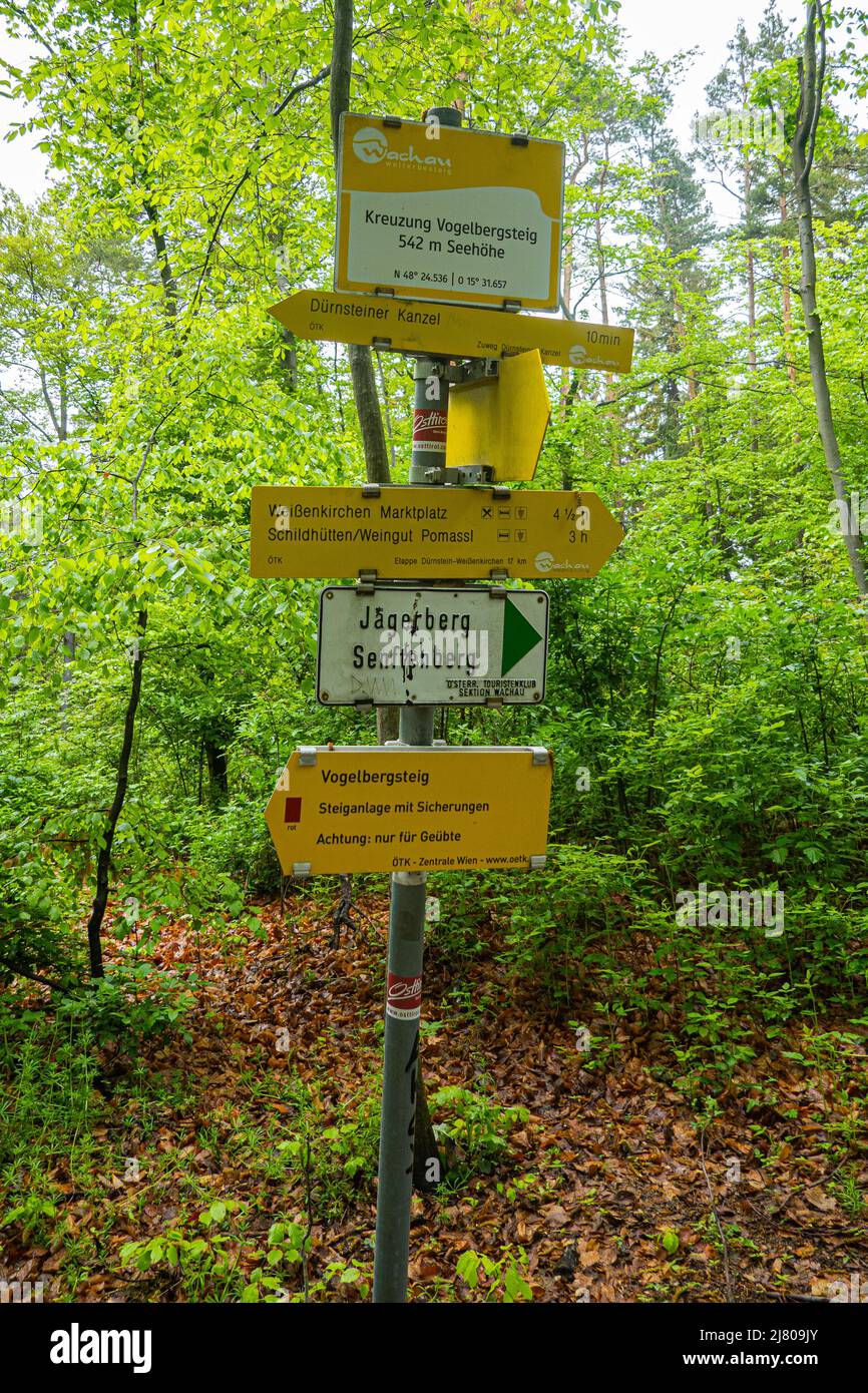 The varied route over the Vogelbergsteig to the historic Dürnstein ...