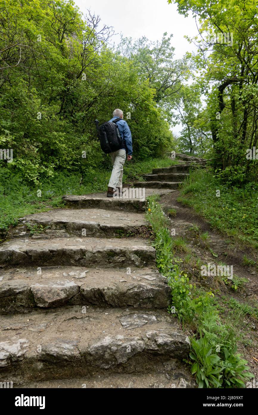 The varied route over the Vogelbergsteig to the historic Dürnstein ...