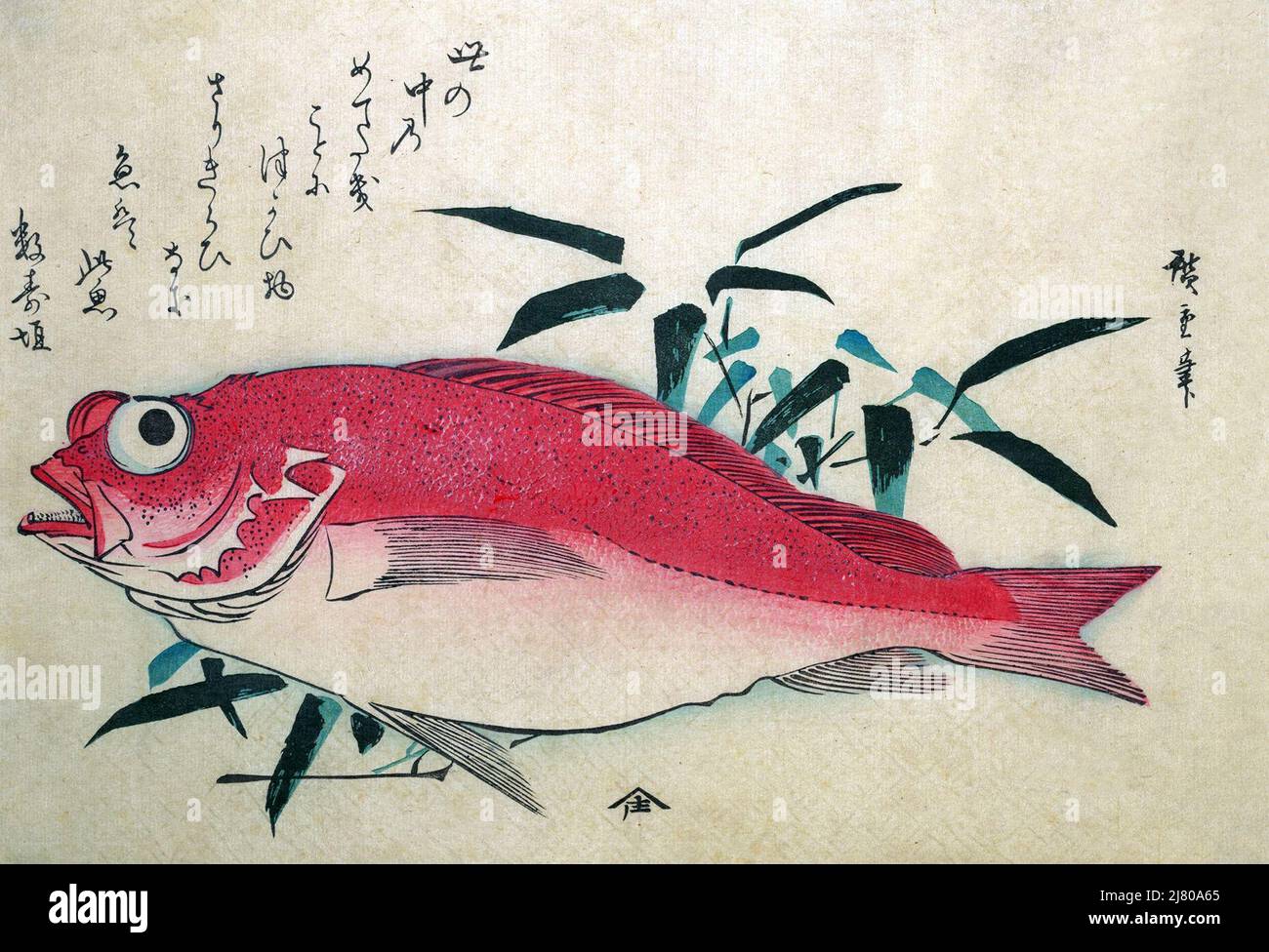 Rockfish seafood restaurant hi-res stock photography and images - Alamy