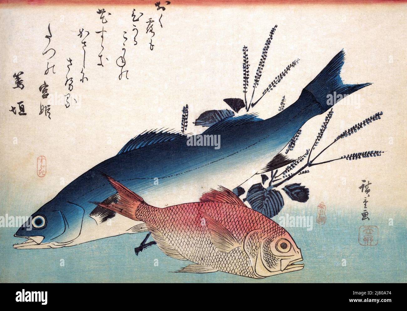 Red sea bream japan hi-res stock photography and images - Alamy