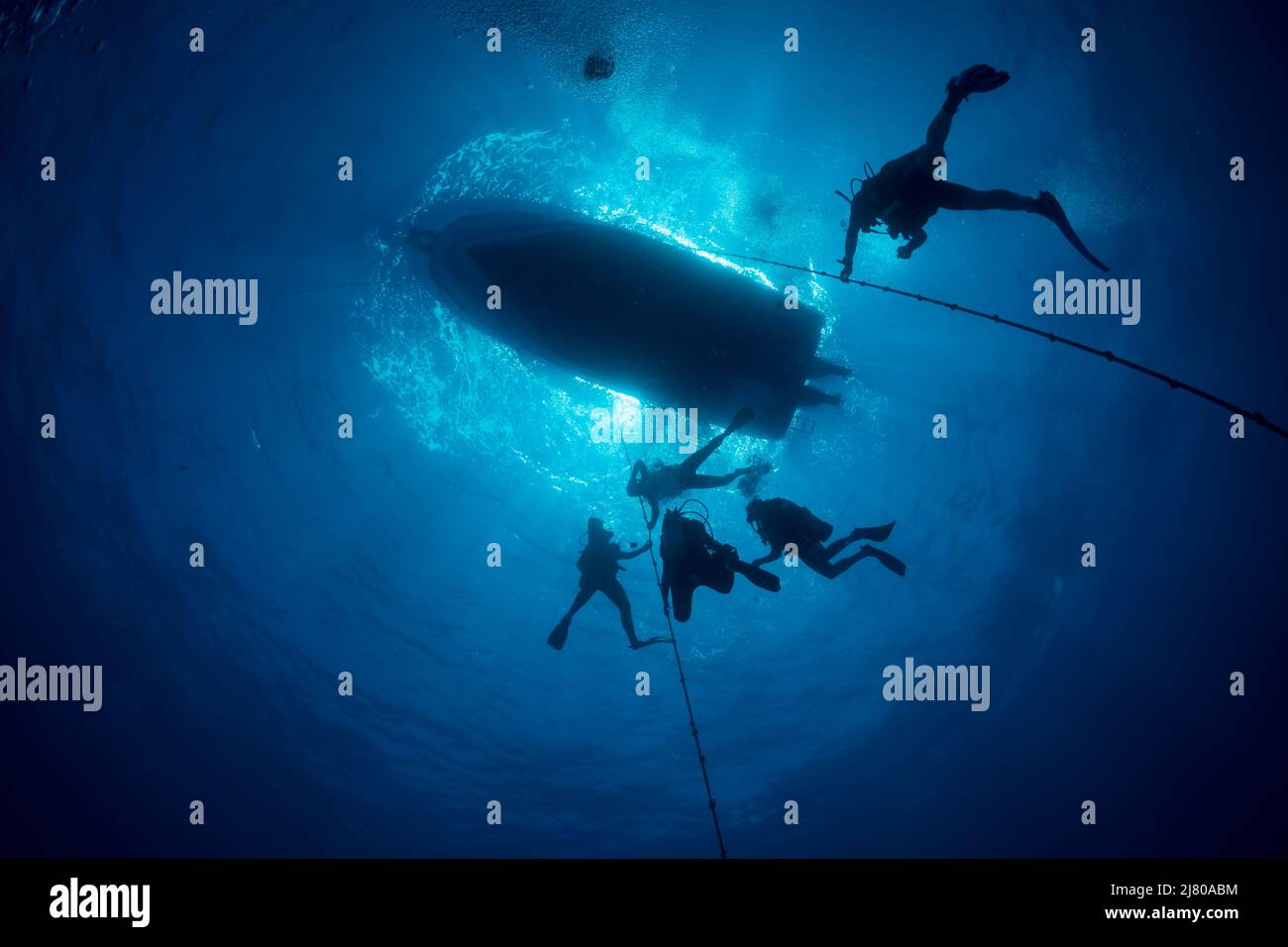 Divers return to the dive boat after a scuba dive in the Caribbean ...