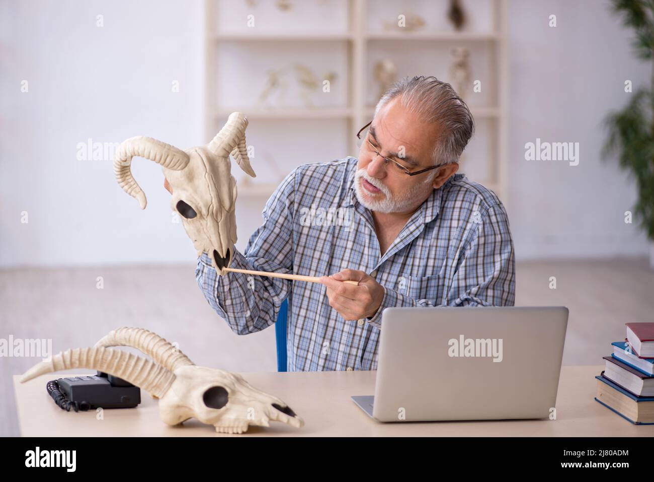 Old paleontologist examining ancient animals at lab Stock Photo - Alamy