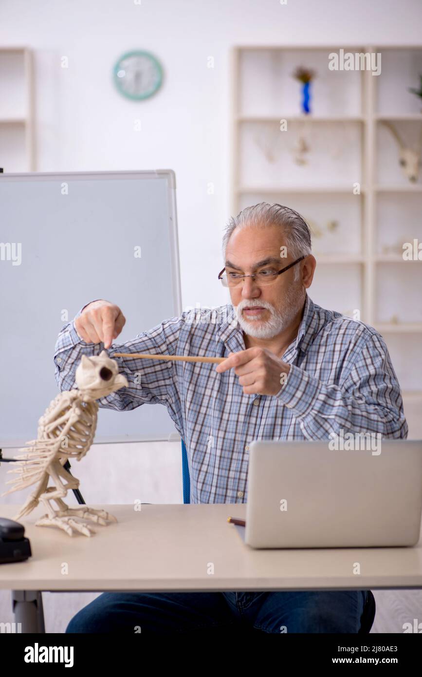 Old paleontologist examining ancient animals at lab Stock Photo - Alamy