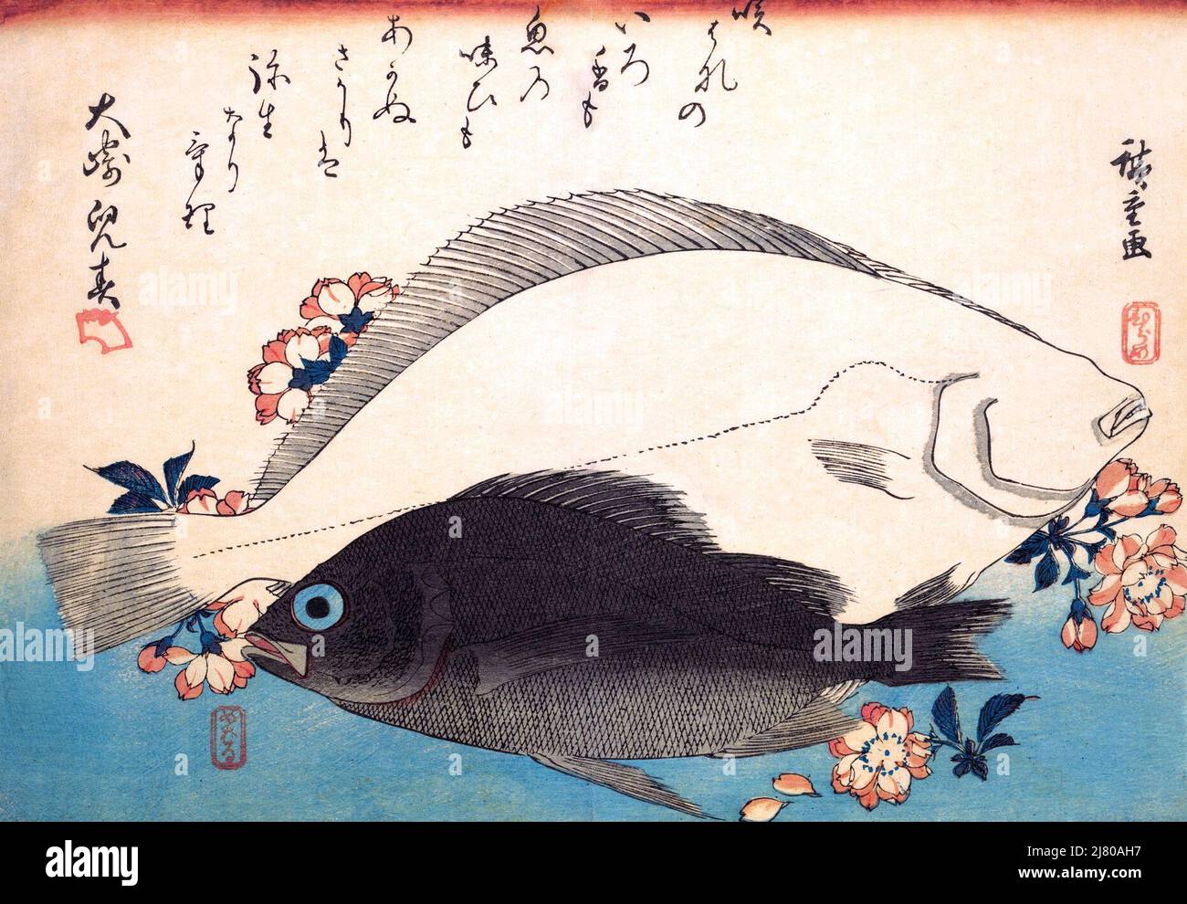 Hirame and Mebaru Stock Photo - Alamy