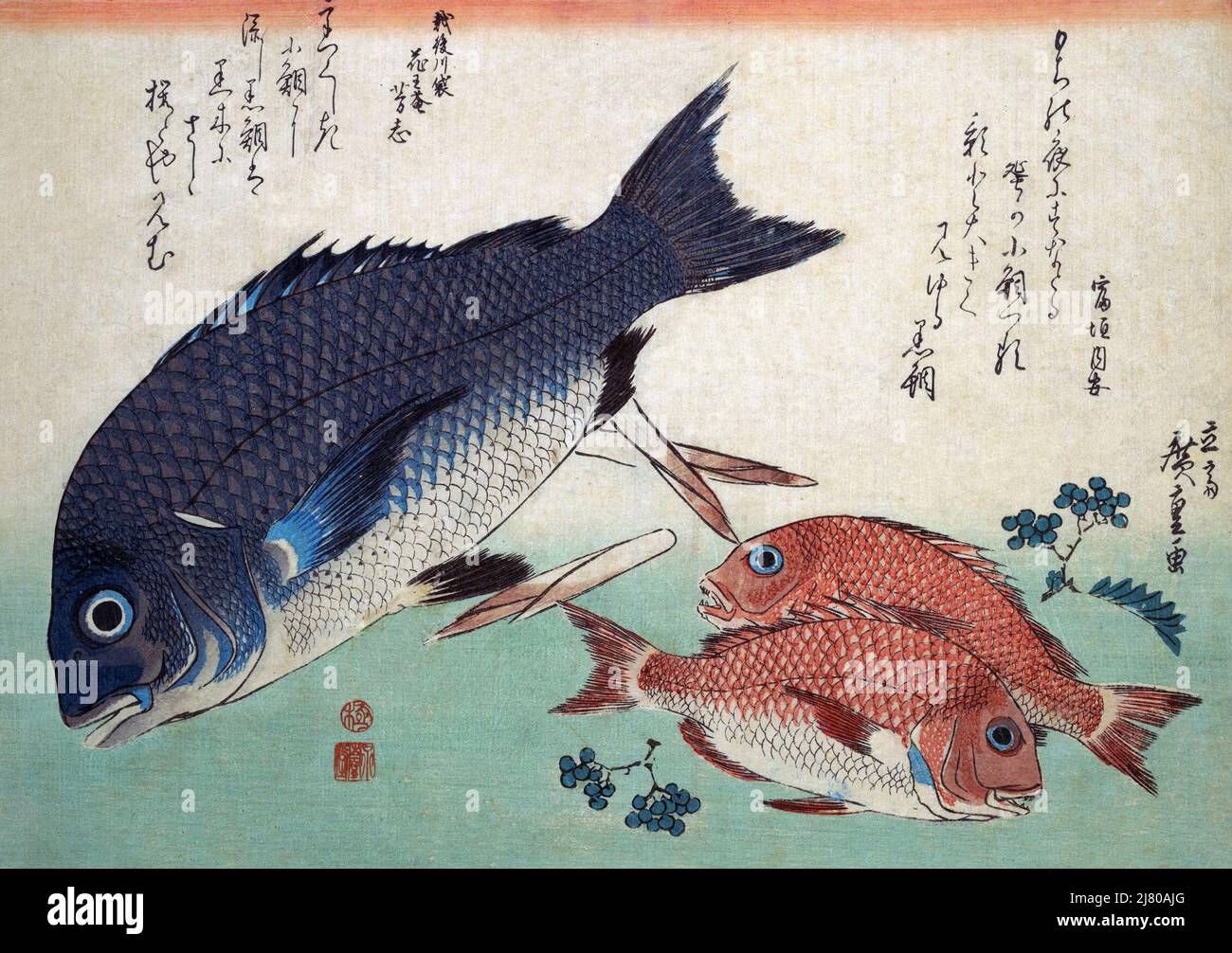 Kodai fish hi-res stock photography and images - Alamy