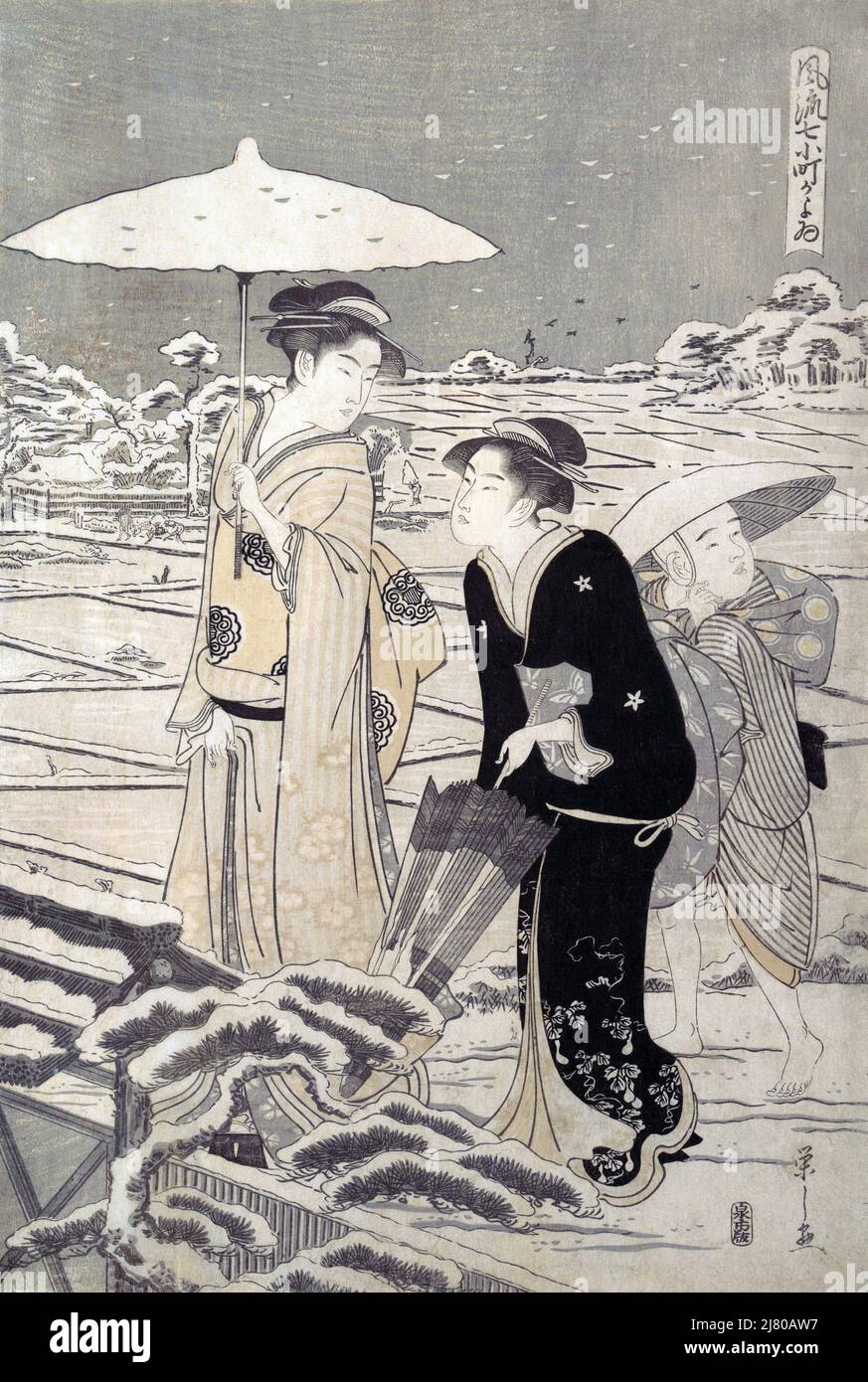 Woman in the snow in the Rice Fields Stock Photo - Alamy