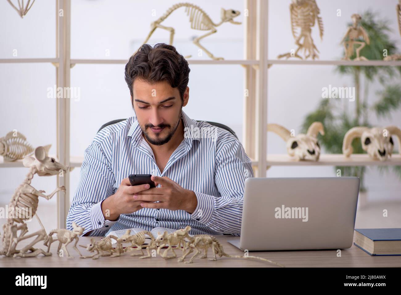 Young paleontologist examining ancient animals at lab Stock Photo - Alamy