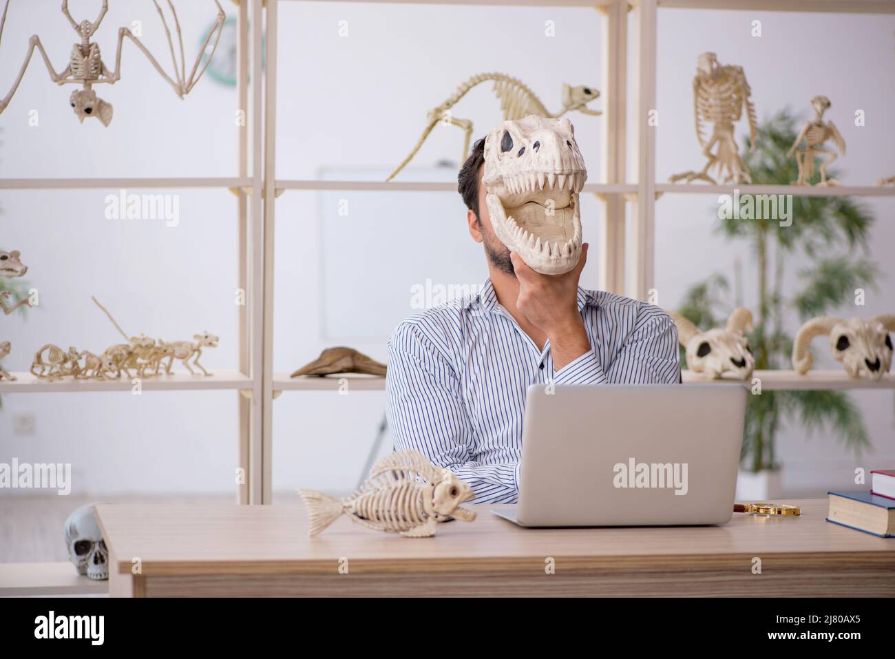 Young paleontologist examining ancient animals at lab Stock Photo - Alamy