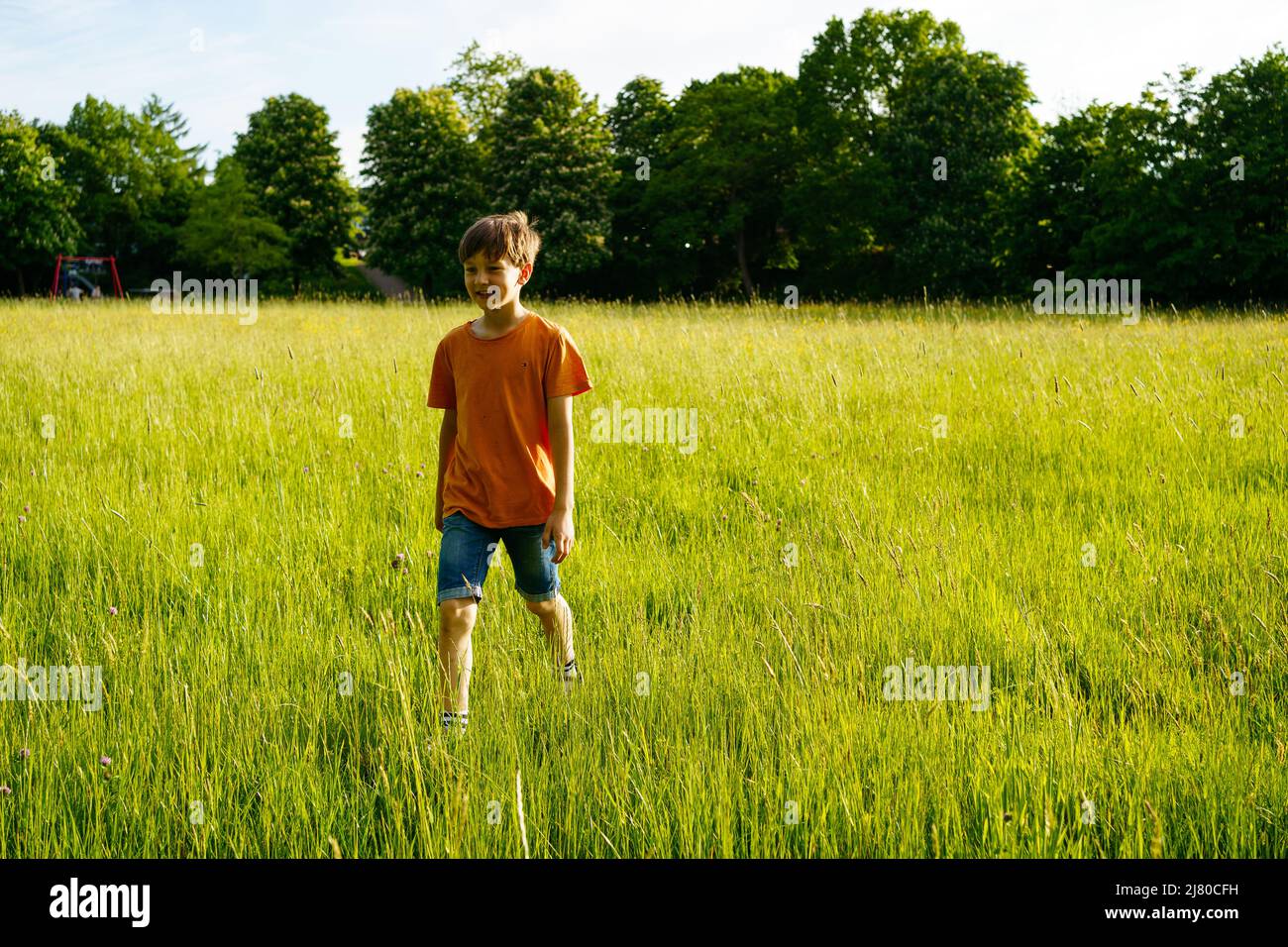 A boy runs through a summer field Stock Photo - Alamy