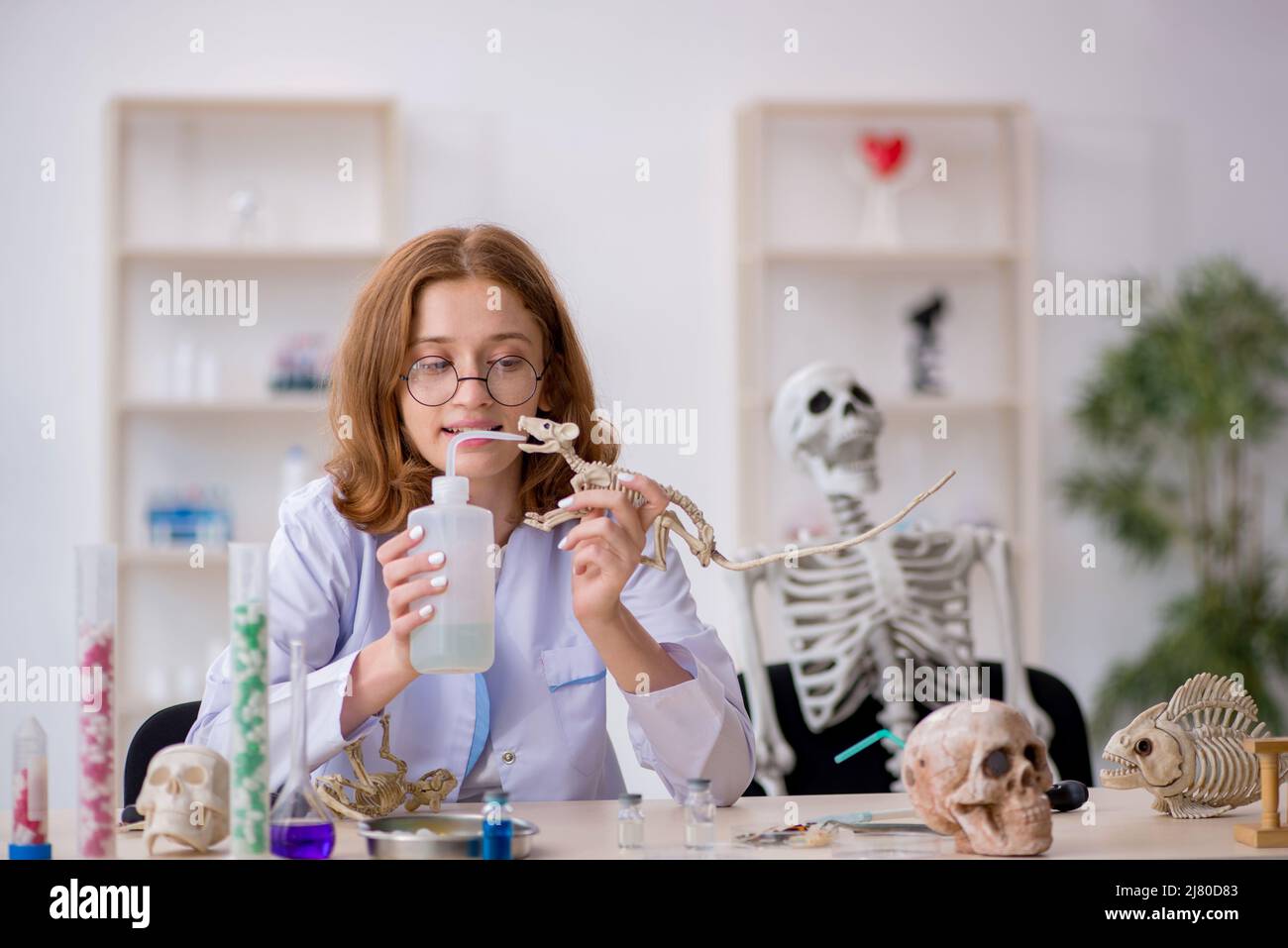 Female paleontologist working hi-res stock photography and images - Alamy