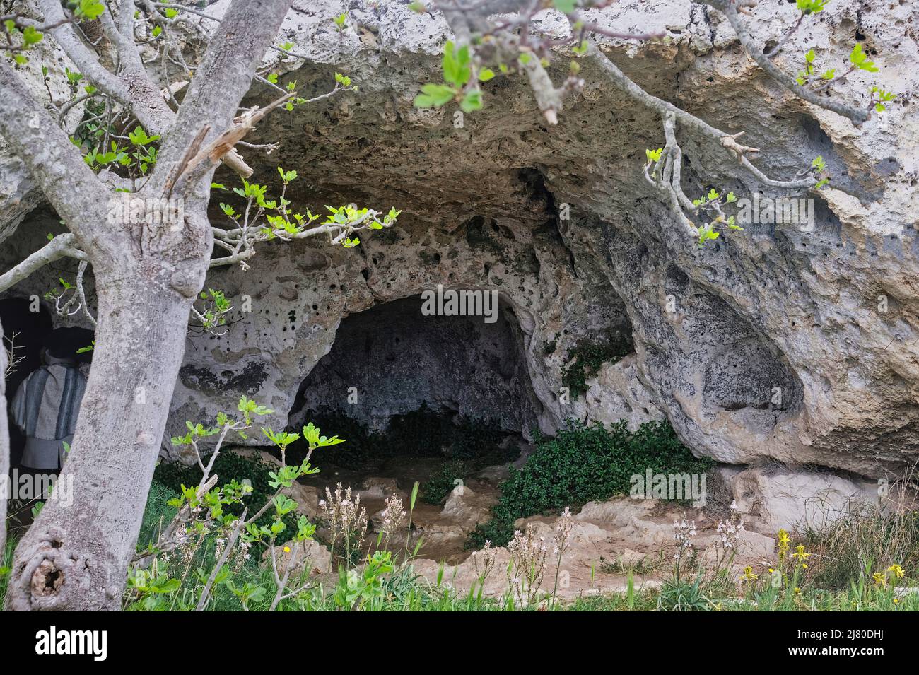 Prehistoric caves in the Murgia Materana reserve (Matera Italy) dating ...