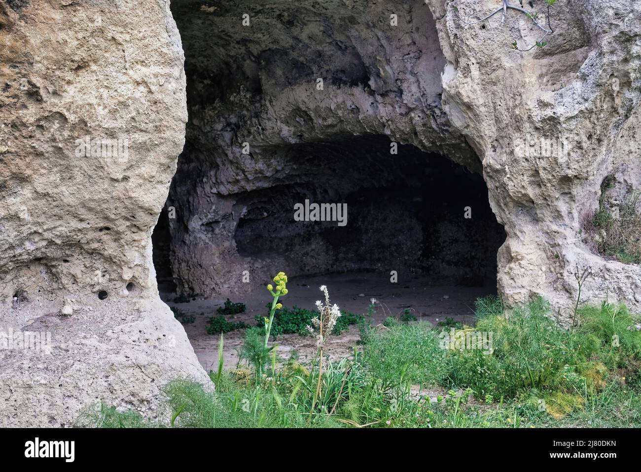 Prehistoric caves in the Murgia Materana reserve (Matera Italy) dating ...