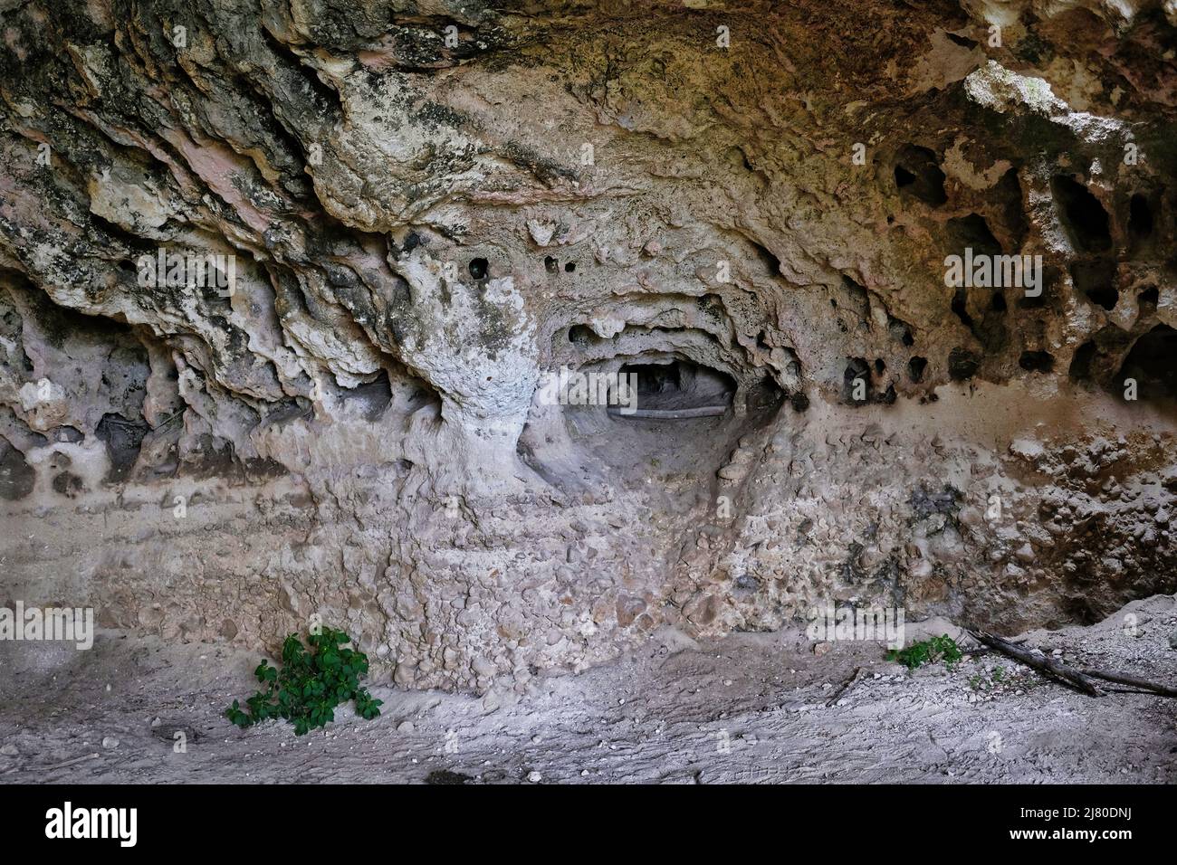 Prehistoric caves in the Murgia Materana reserve (Matera Italy) dating ...