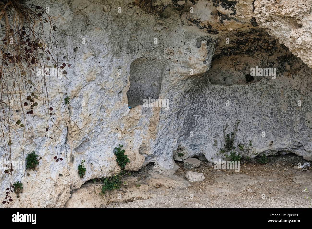 Prehistoric caves in the Murgia Materana reserve (Matera Italy) dating ...