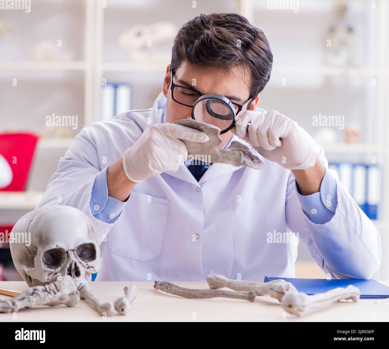 The professor studying human skeleton in lab Stock Photo - Alamy