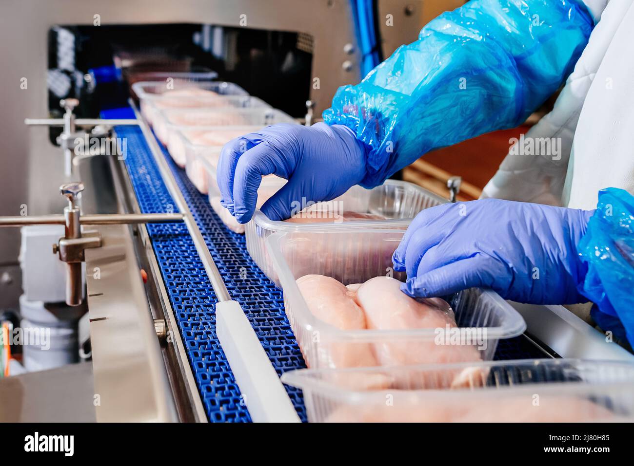 A modern plant.Factory production food from meat. Production line with ...