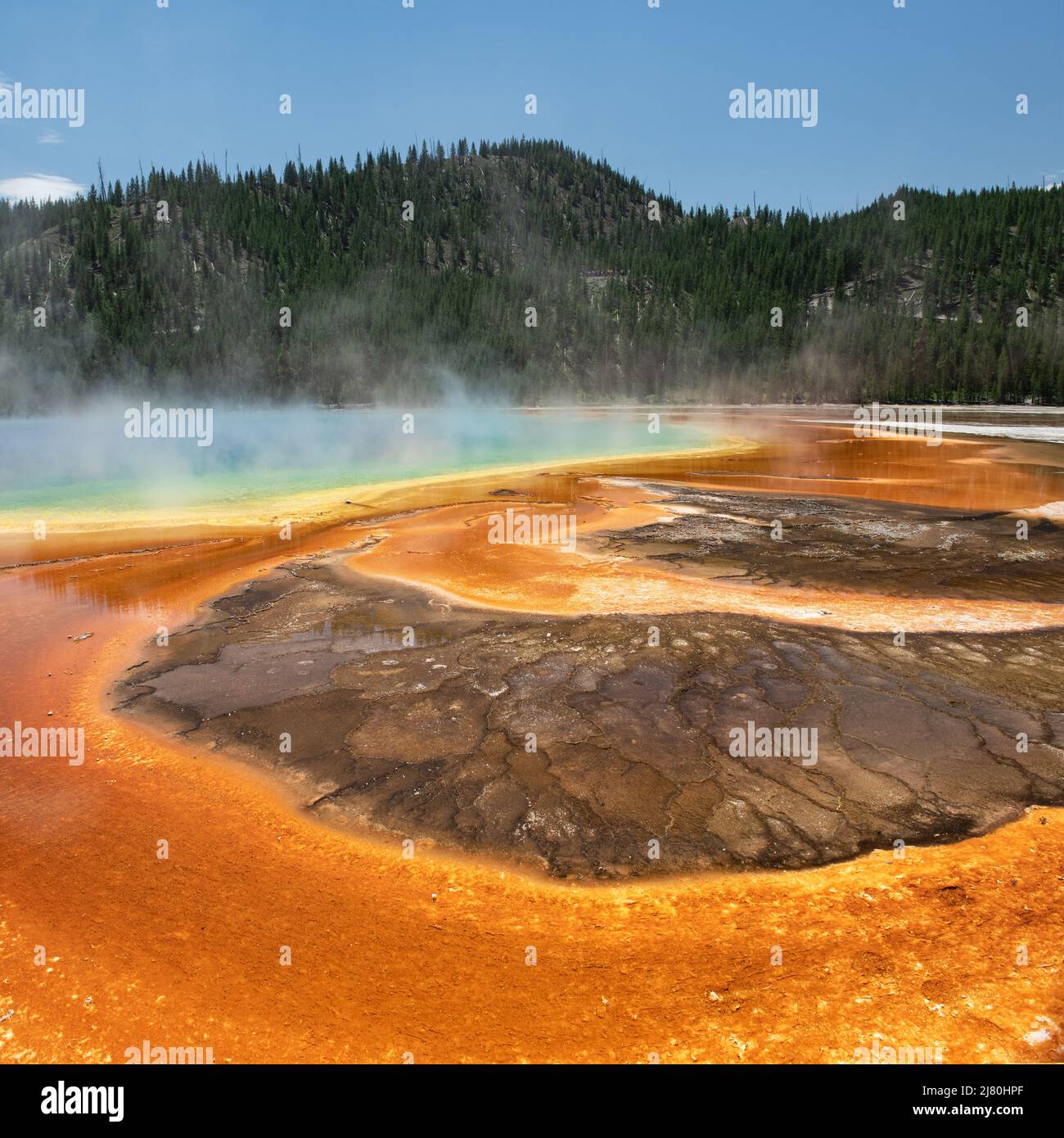 Vibrant colors created by thermophiles in Yellowstone's iconic G Stock ...