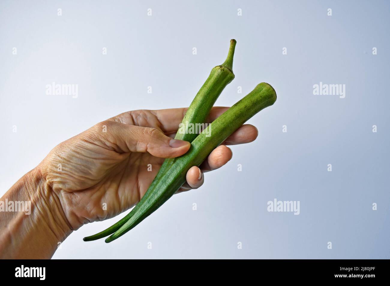 Fresh raw okra on hand in a bright background Stock Photo - Alamy