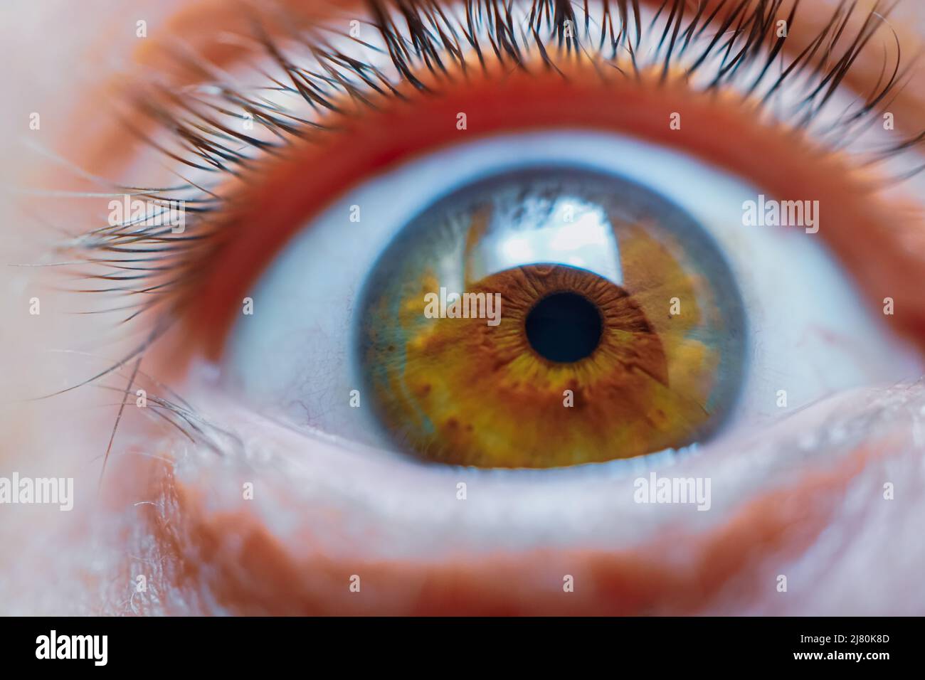 People body part eye hi-res stock photography and images - Alamy