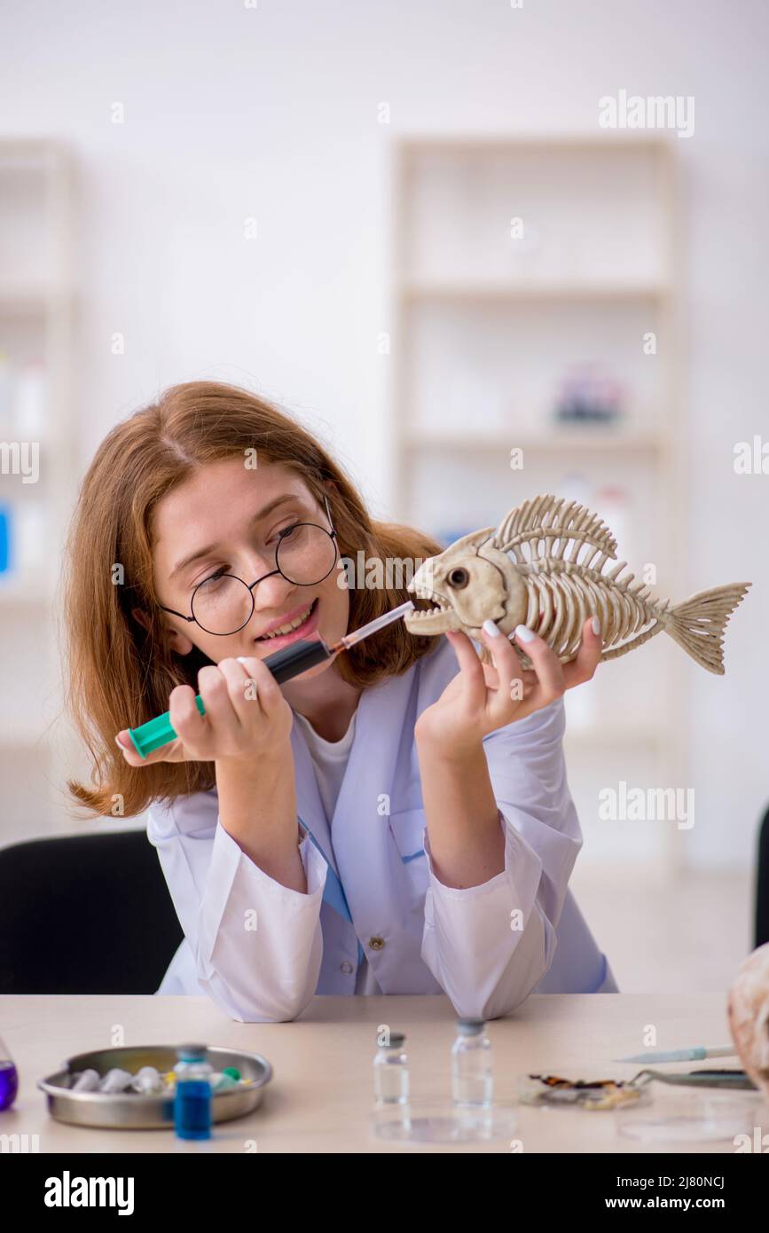 Zoologist At Work In The Lab
