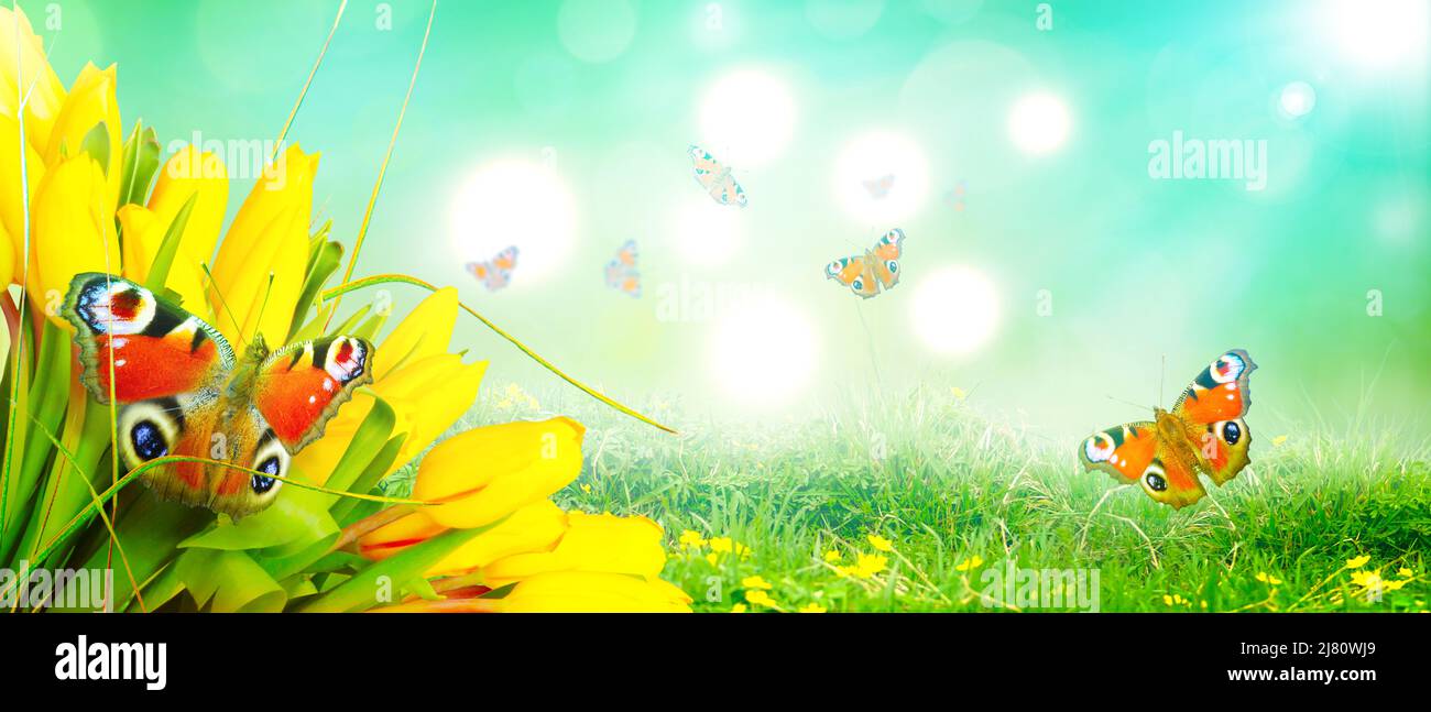 Spring concept of the celebration. Greeting card for women's Day Stock ...