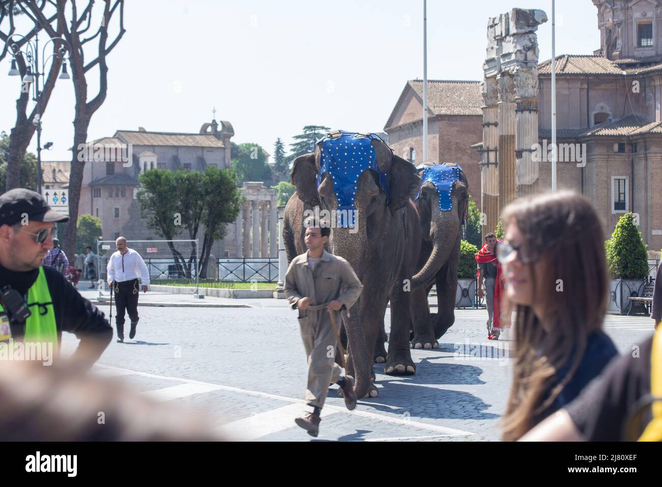 Rome, Italy. 11th May, 2022. Elephants on Via dei Fori Imperiali in ...