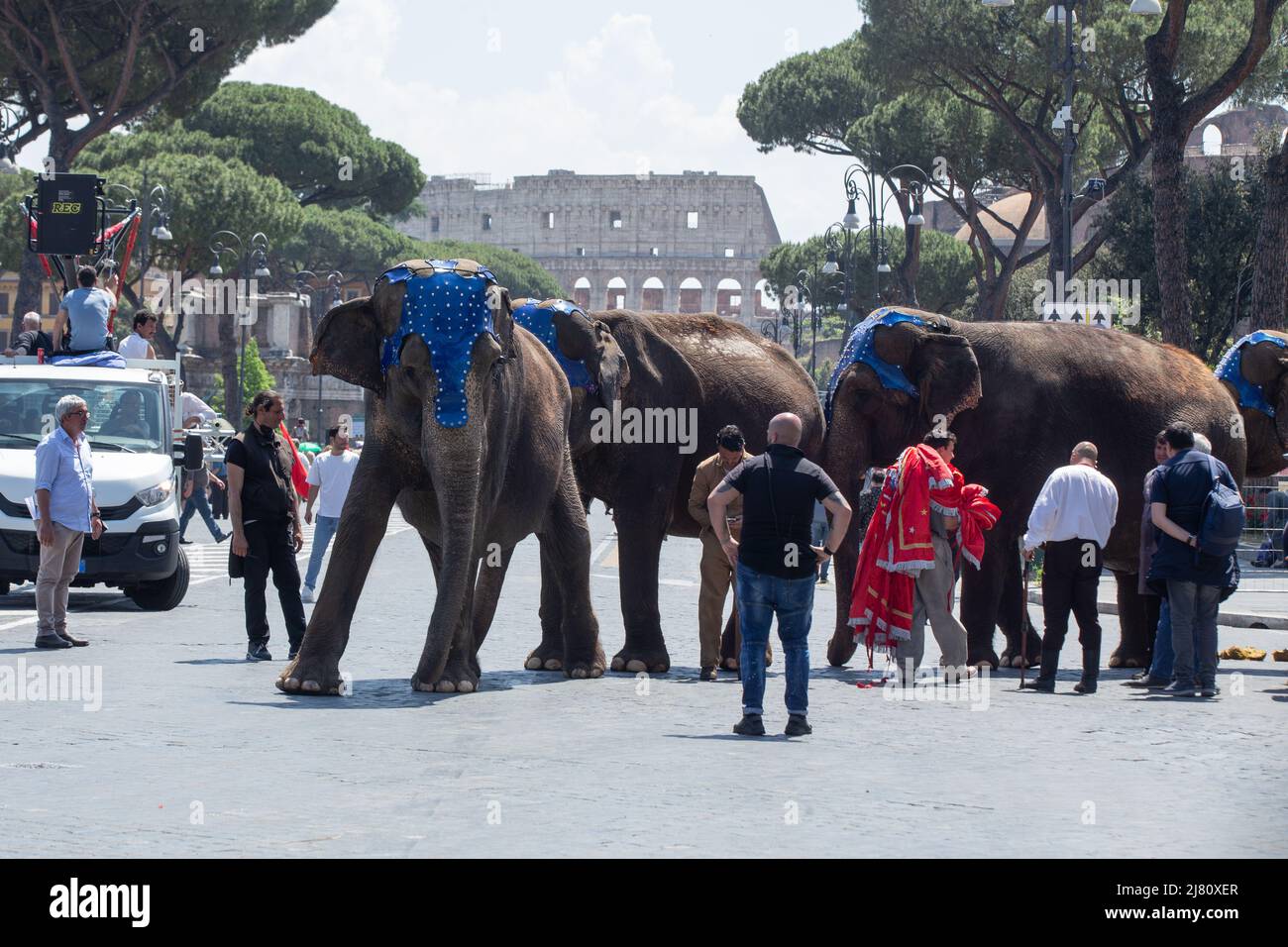 Rome, Italy. 11th May, 2022. Elephants on Via dei Fori Imperiali in ...