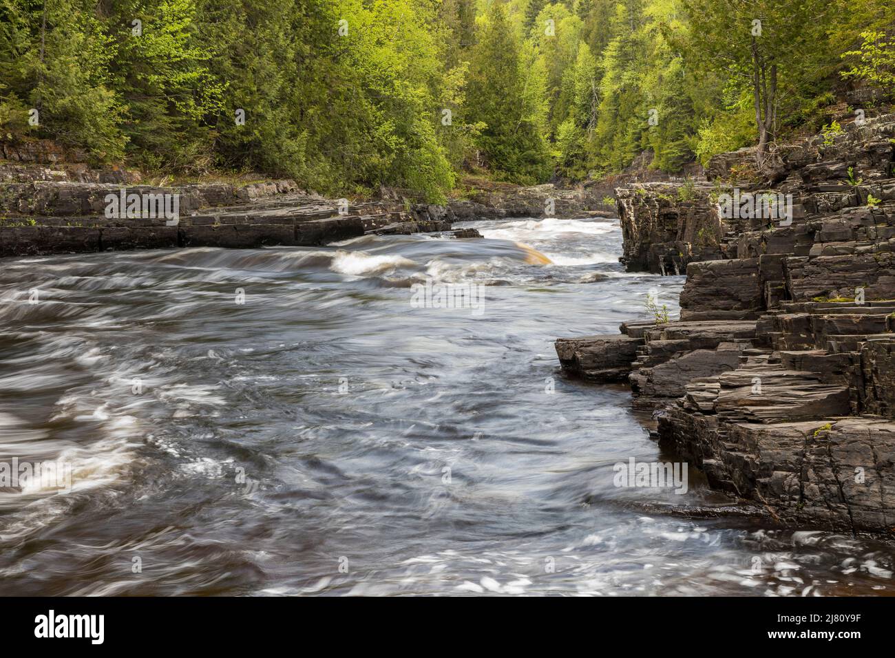 A scenic river with cascades and rapids in the woods Stock Photo - Alamy