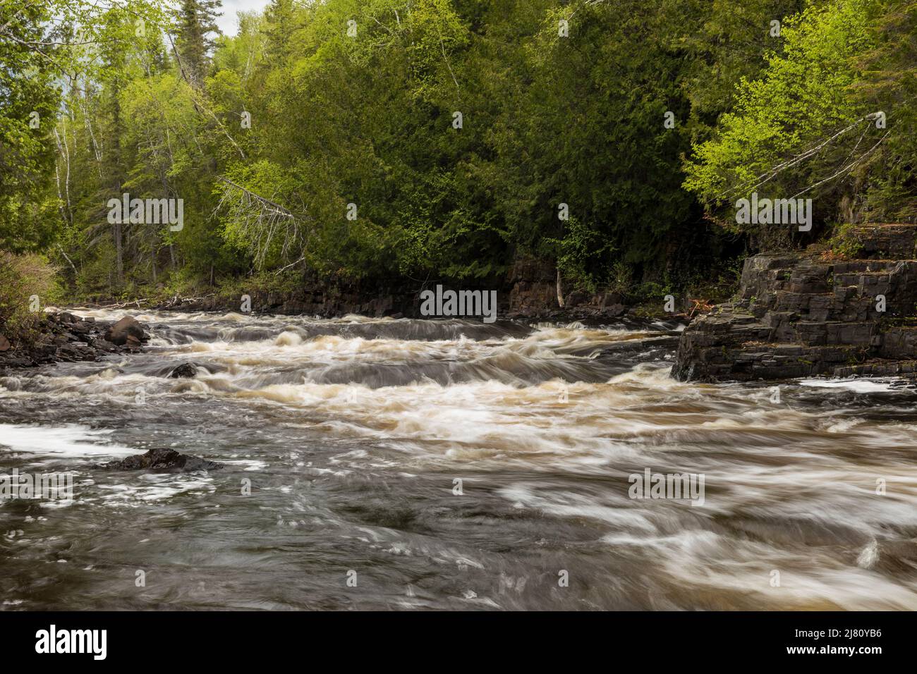 A scenic river with cascades and rapids in the woods Stock Photo - Alamy