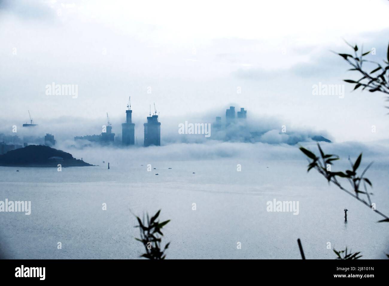 The beautiful and curious sea fog Stock Photo - Alamy