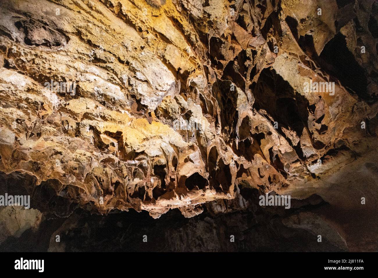 Distinctive Box Work in Wind Cave National Park in South Dakota Stock ...