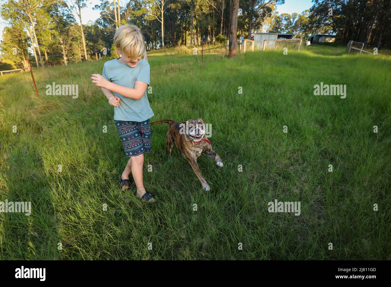 Boy playing fetch with dog hi-res stock photography and images - Alamy